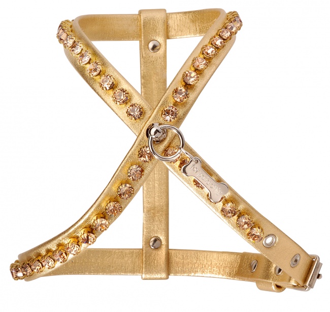Diamond Harness kšíry - zlatá | LuxuryDog