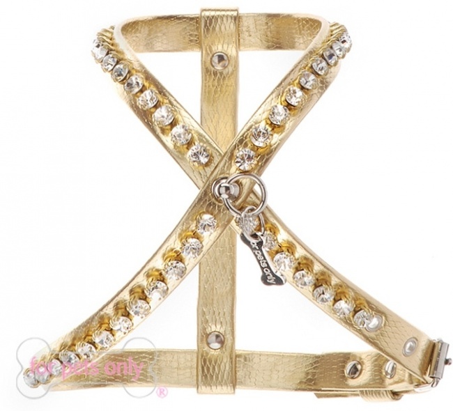 Diamond Harness kšíry - zlatá | LuxuryDog